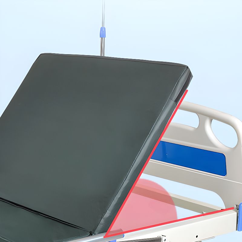 Contemporary Rectangular Upholstered Ergonomic Bed with Manual ...