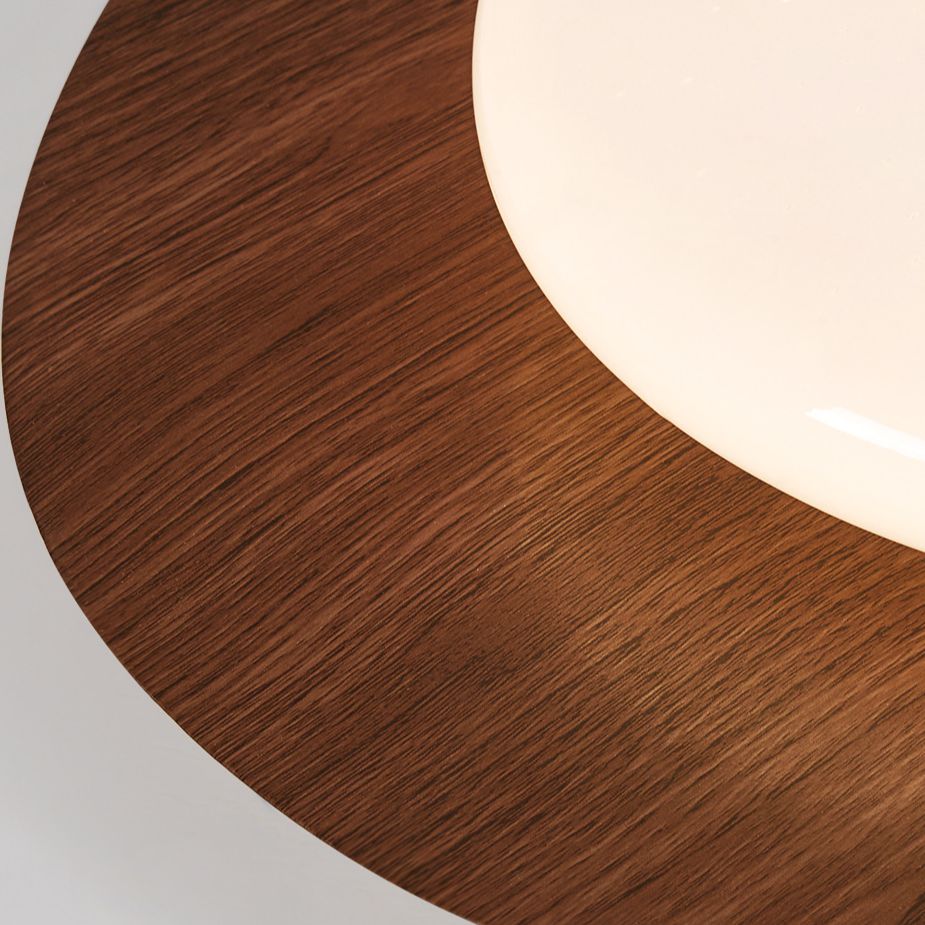 Contemporary 1 Light LED Iron Flush Mount Ceiling Lamp with Hardwired ...